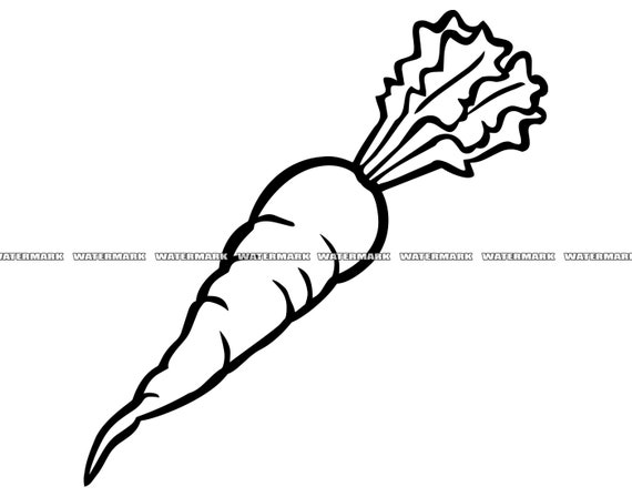 Carrot SVG Carrot Cut File Carrot DXF Carrot PNG Carrot - Etsy