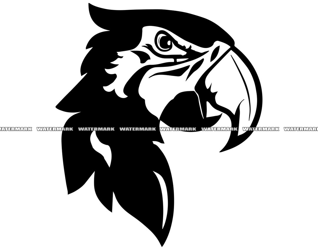 Macaw SVG 2 Macaw Cut File Macaw DXF Macaw PNG Macaw - Etsy