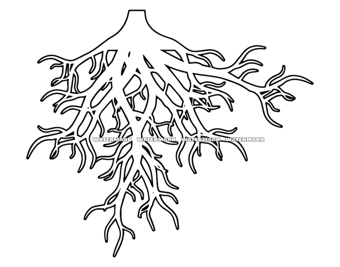 Roots SVG 1 Roots Cut File Roots DXF Roots PNG Roots - Etsy