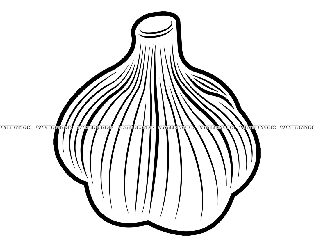 Garlic SVG, Garlic Cut File, Garlic DXF, Garlic PNG, Garlic Clipart ...
