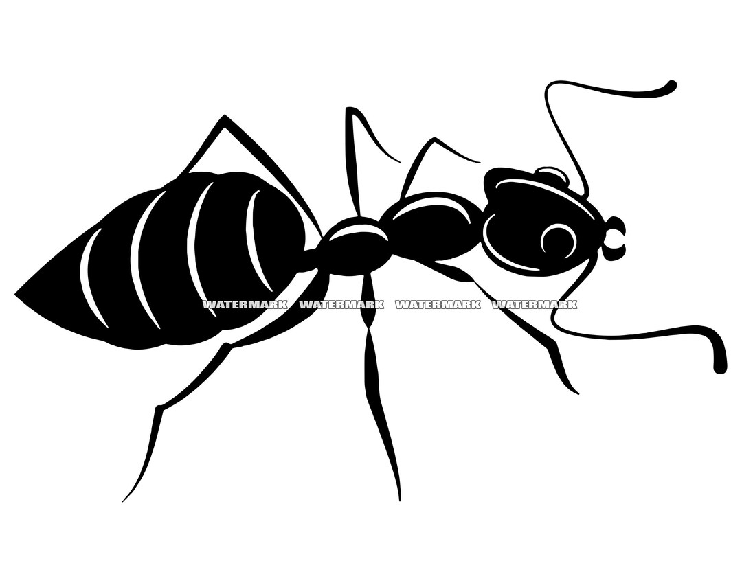 Ant SVG Ant DXF Ant PNG Ant Clipart Ant Silhouette Ant - Etsy UK