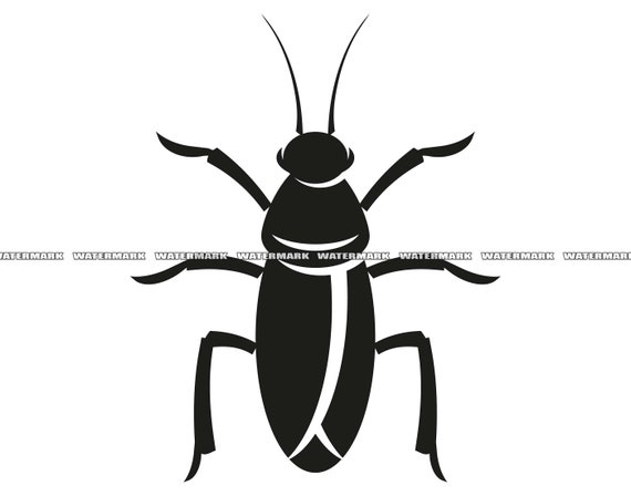 Cockroach SVG Cockroach Cut File Cockroach DXF Cockroach - Etsy