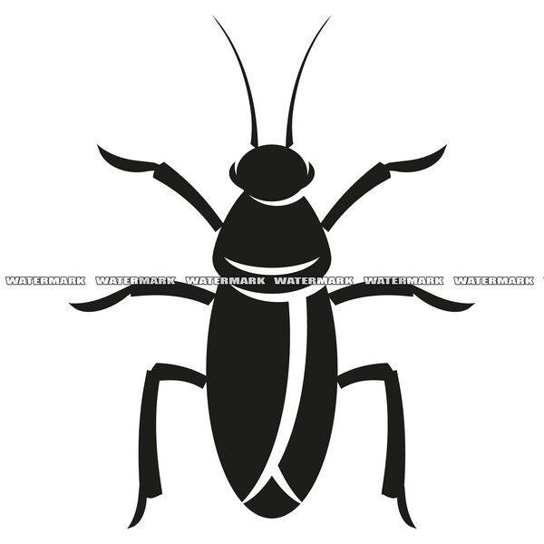 Cockroach - Etsy