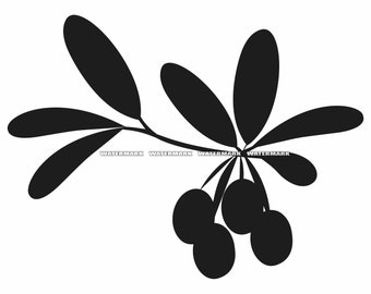 Olive Dxf Cut File - Etsy