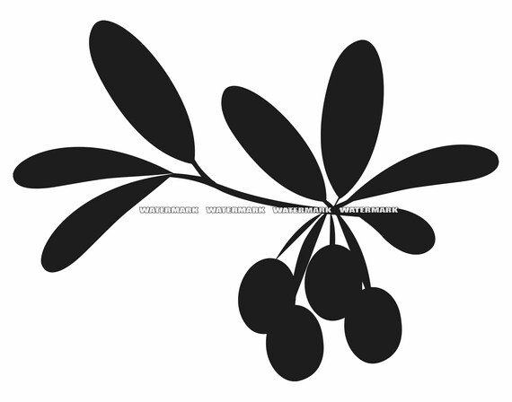 Olive SVG Olive Cut File Olive DXF Olive PNG Olive | Etsy