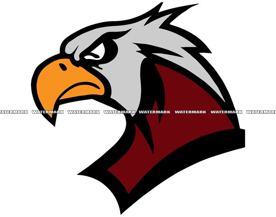 Hawk Head Mascot