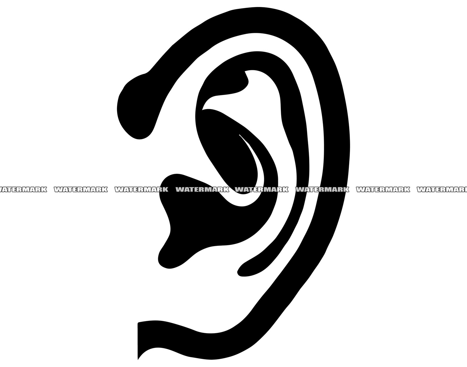 Human Ear SVG 4 Audiology Anatomy Biology Medical Art Hearing - Etsy