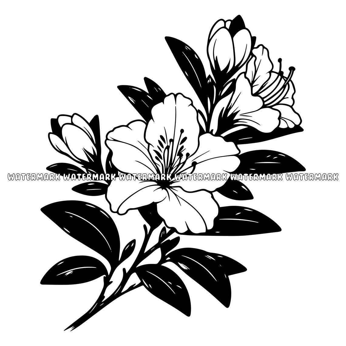 Azalea Flower SVG, Azalea DXF, Azalea PNG, Azalea Cut File, Azalea ...