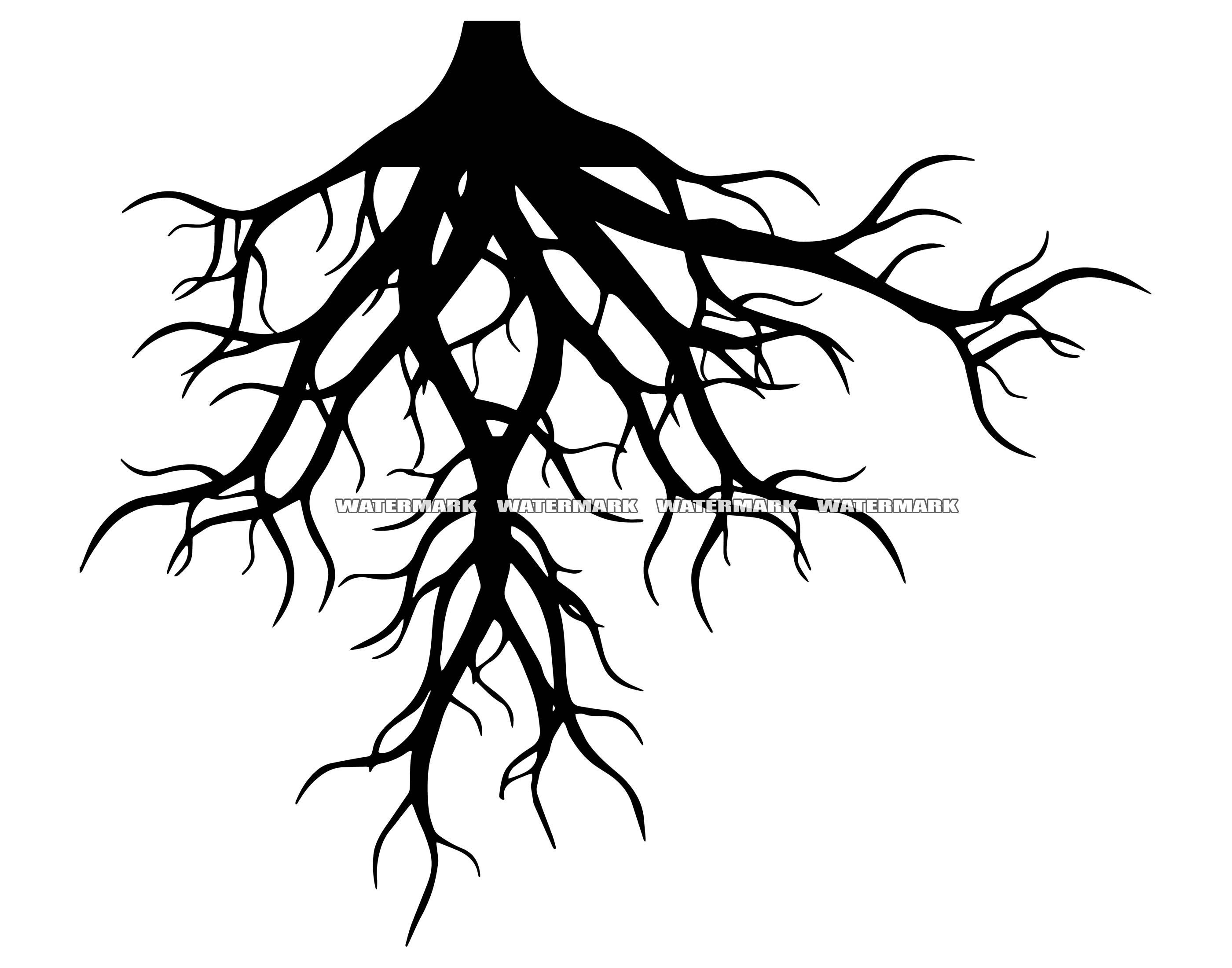 Roots SVG, 2, Roots Cut File, Roots DXF, Roots PNG, Roots Clipart ...