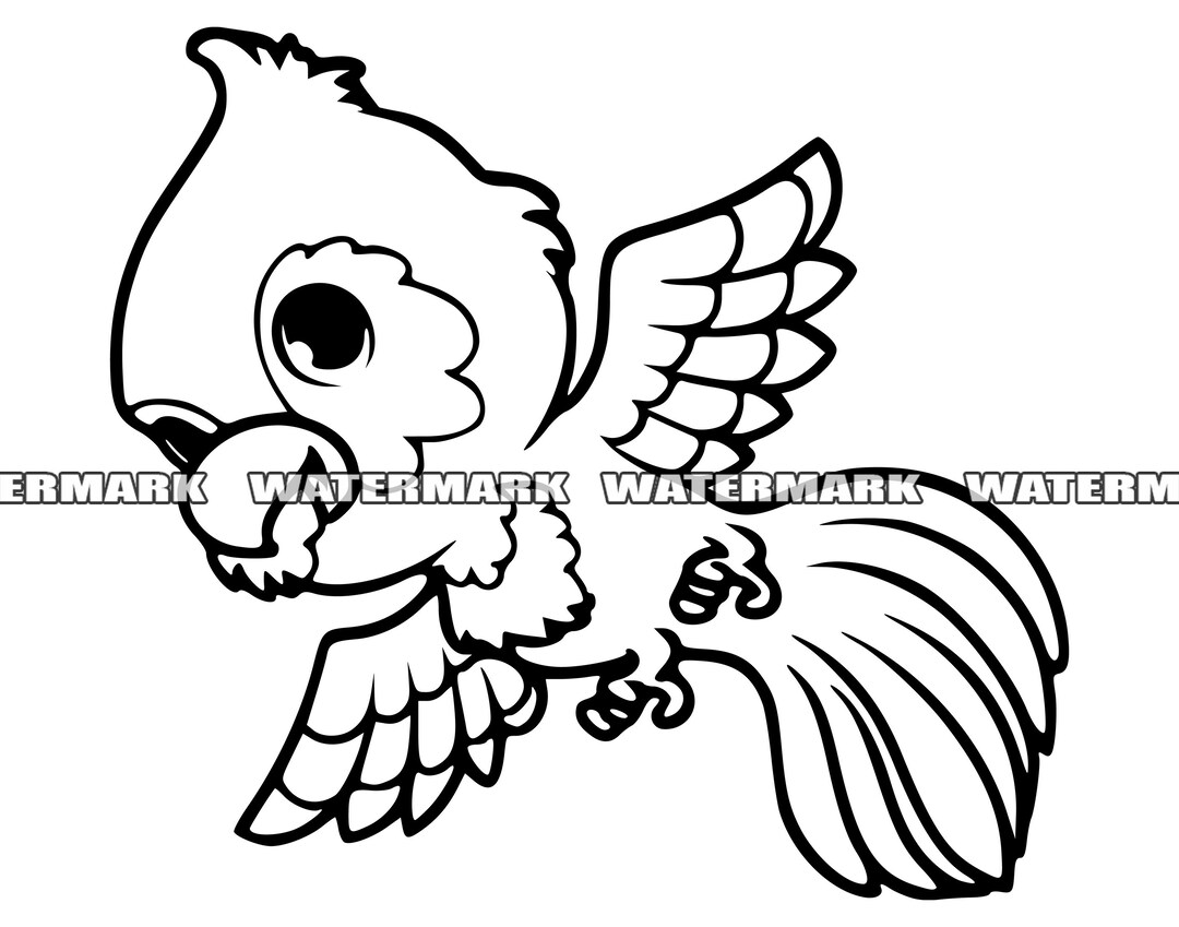 Baby Parrot SVG Baby Parrot Cut File Baby Parrot DXF Baby - Etsy