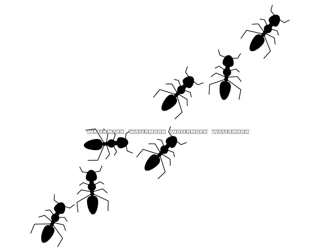 Ant SVG, Ants SVG, Anthill SVG, Formicary Svg, Ant Dxf, Ants Dxf, Ant ...