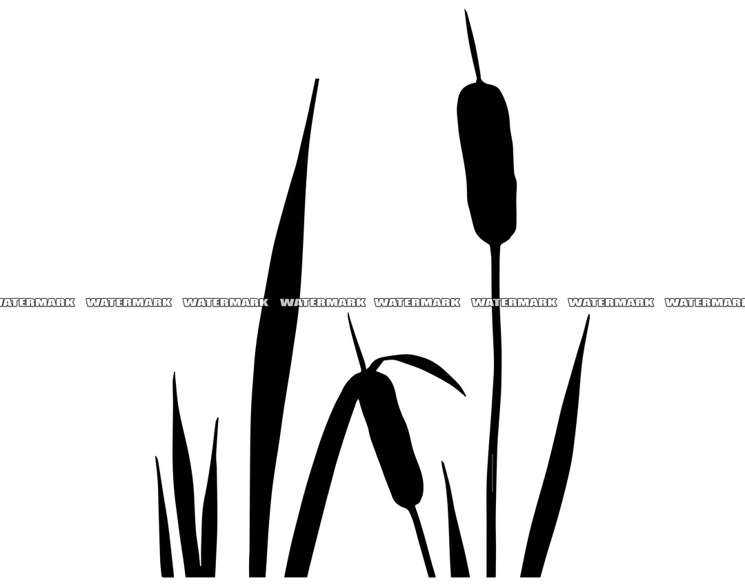 Cattail SVG #2 Nature Lake Swamp Pond Plants Arizona Design Cartoon ...