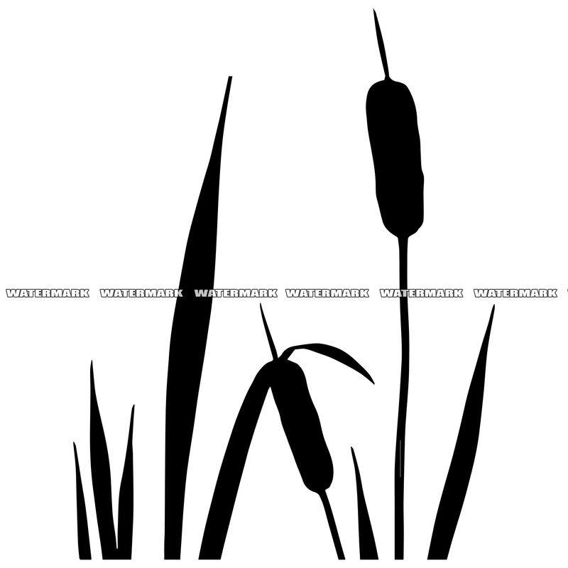 Cattails Svg - Etsy