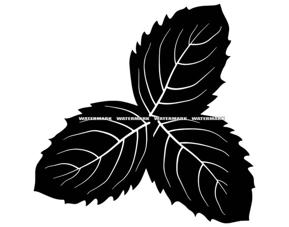 Mint Leaf SVG 1 Mint Leaf DXF Mint Leaf PNG Mint Leaf | Etsy