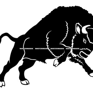 Head Silhouettes dxf png Cut file Bison SVG Wildlife Stencils iron on ...