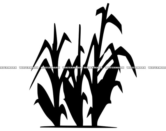 Corn Field Clipart Black And White