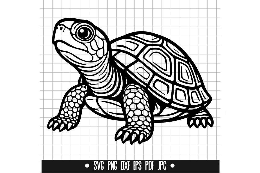 Turtle SVG, Turtle DXF, Turtle PNG, Tortoise Cut File, Clipart, Digital ...