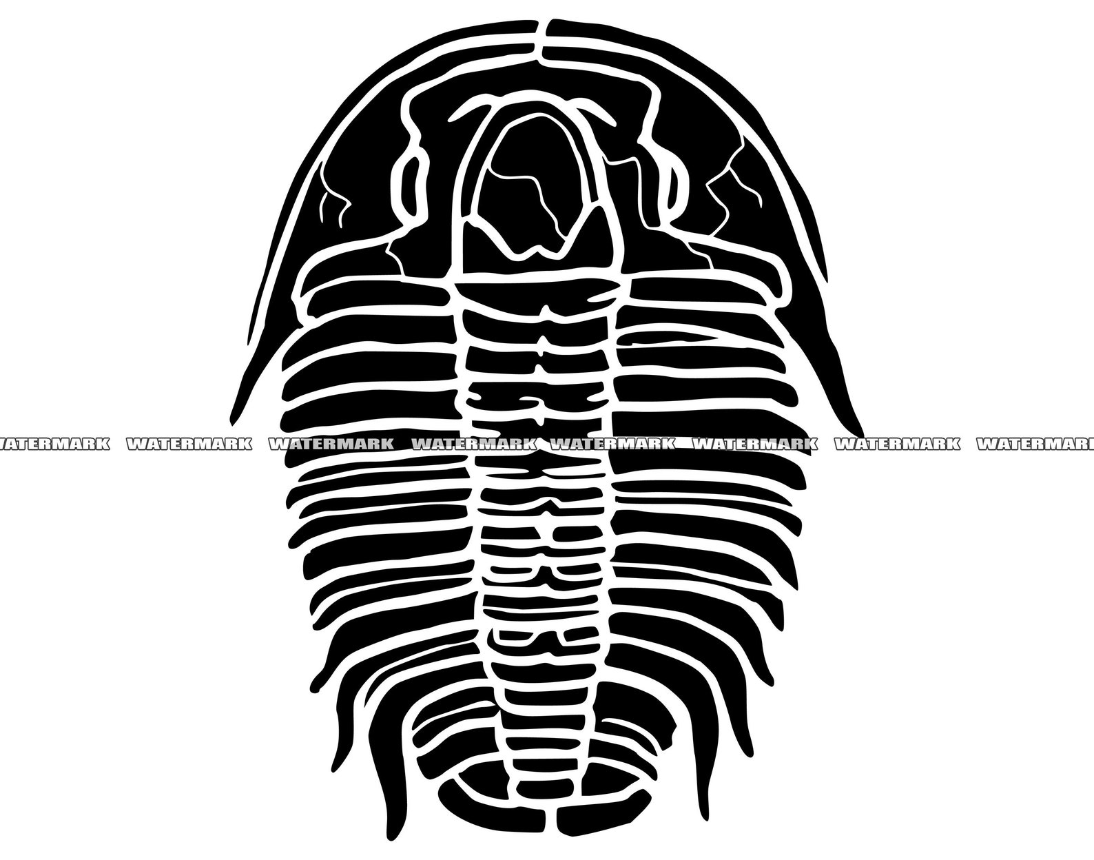 Fossil SVG, Fossil Cut File, Fossil DXF, Fossil PNG, Fossil Clipart ...