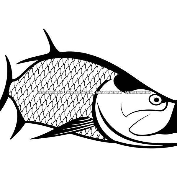 Tarpon Fish Clipart - Etsy