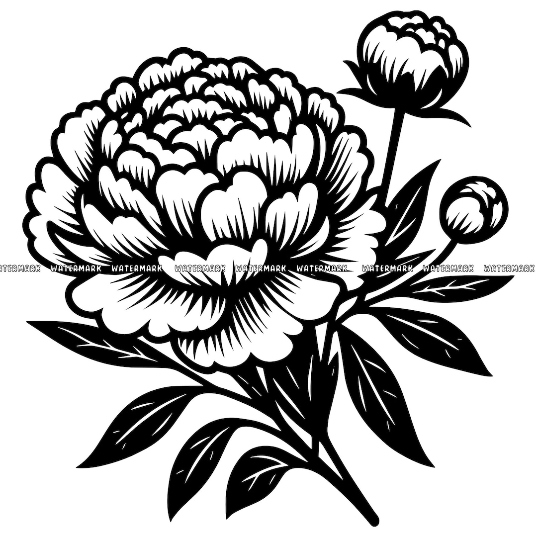 Peony SVG, Peony DXF, Peony PNG, Peony Cut File, Peony Clipart, Peony ...