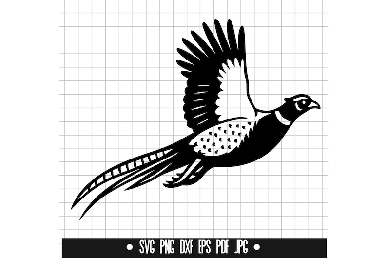 Pheasant SVG, Flying Pheasant PNG, Game Bird DXF, Cut File, Hunting ...