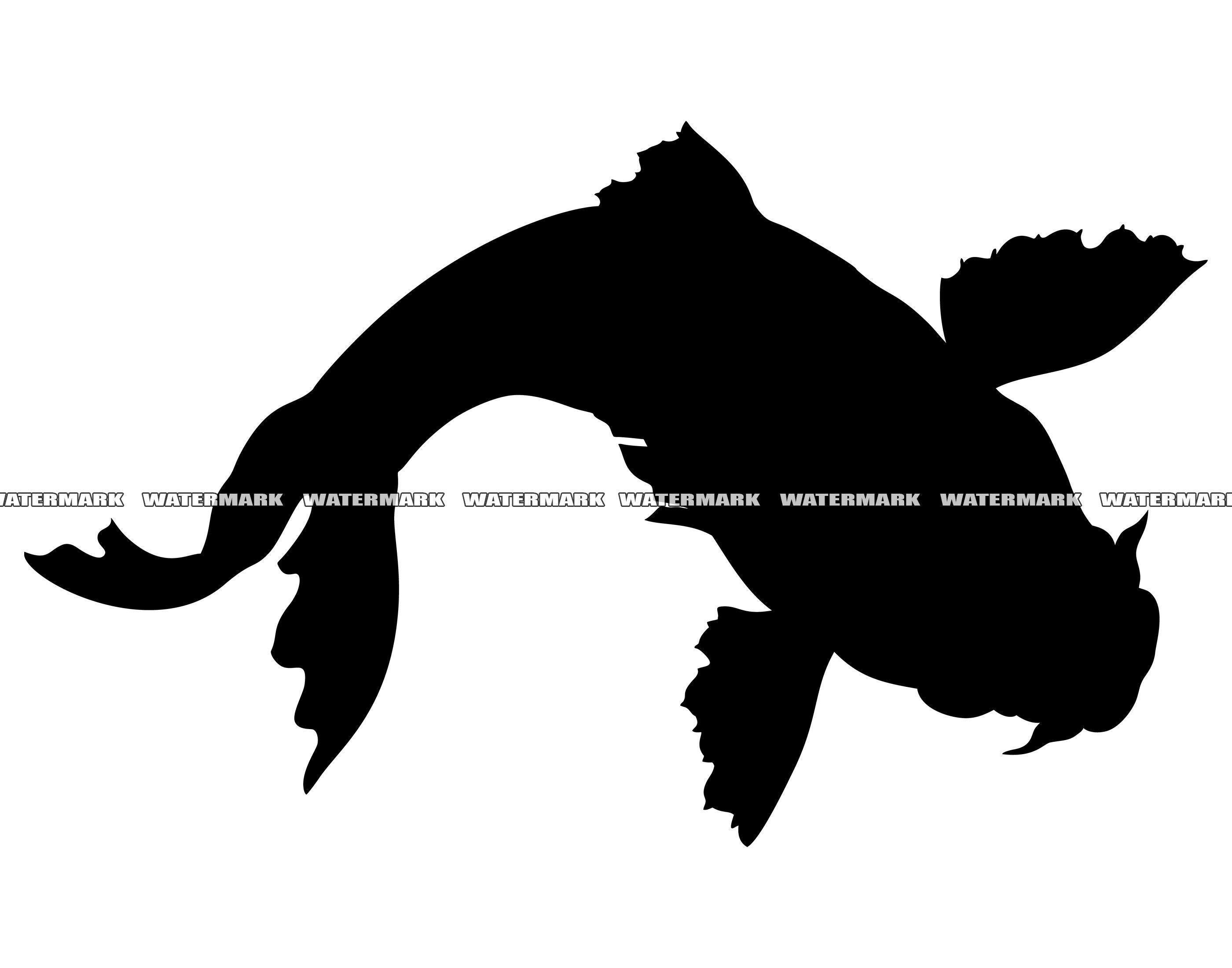 Koi Fish SVG Koi Fish Cut File Koi Fish DXF Koi Fish PNG - Etsy Australia