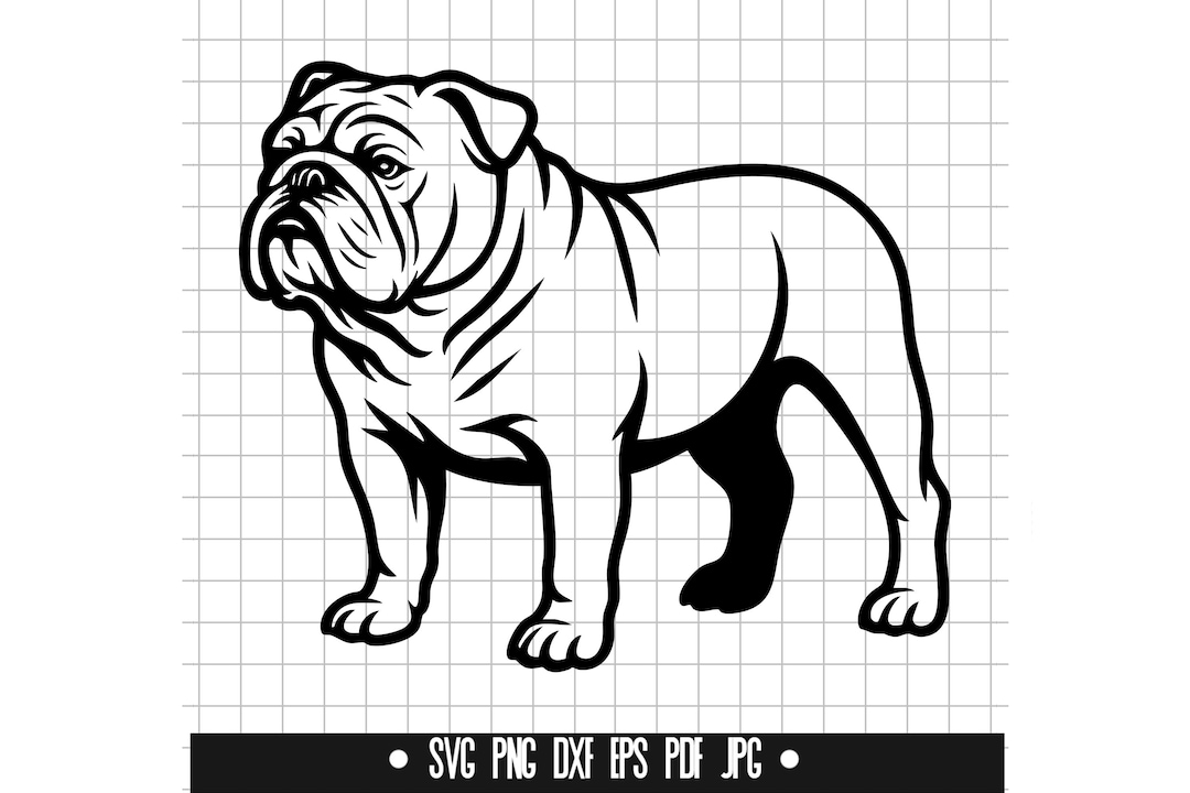 Bulldog SVG, Bulldog PNG, Bulldog DXF, Bulldog Silhouette, Bulldog Cut ...