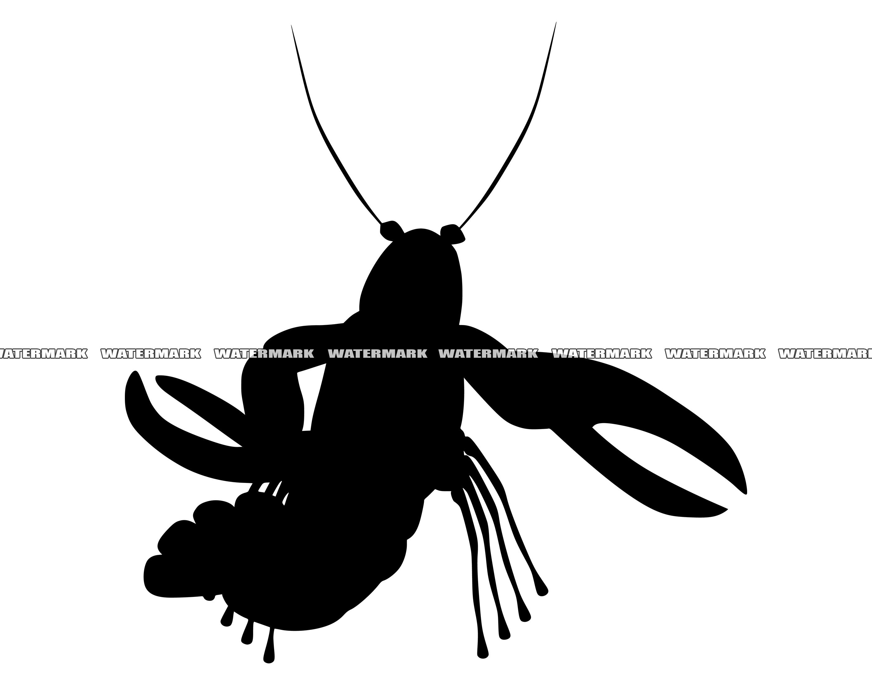 Lobster SVG, Lobster Cut File, Lobster DXF, Lobster PNG, Lobster ...