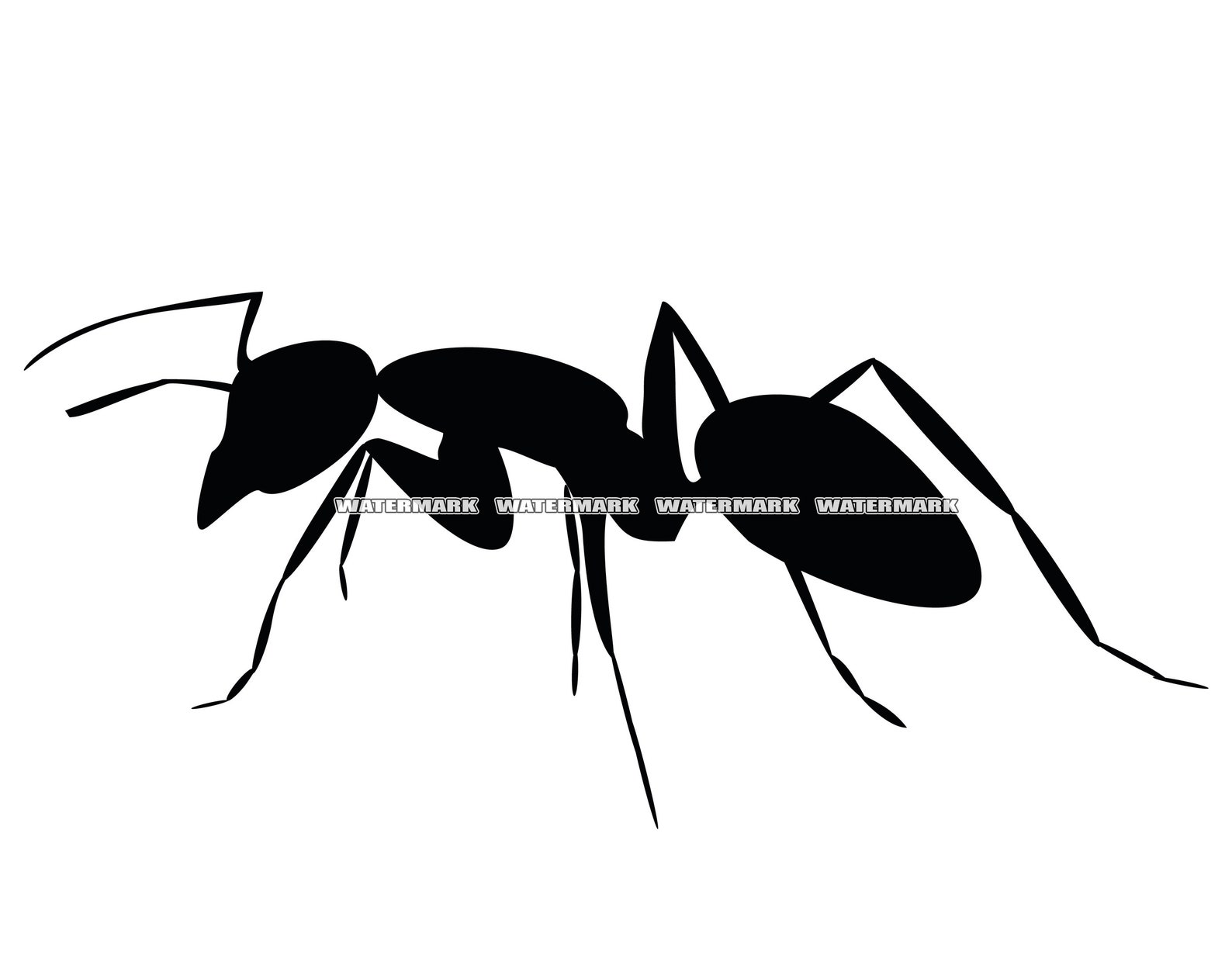 Ant SVG Ant DXF Ant PNG Ant Clipart Ant Silhouette Ant | Etsy UK