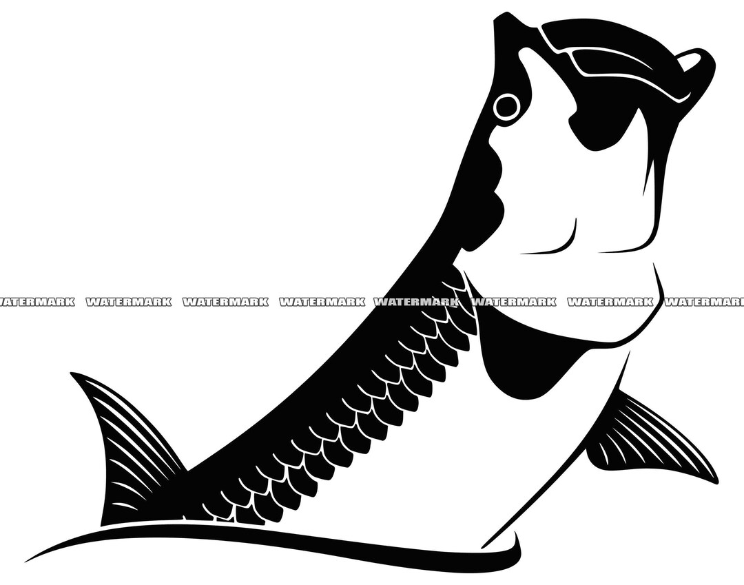 Fish SVG Fish Cut File Fish DXF Fish PNG Fish Clipart - Etsy Finland