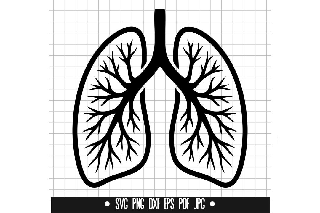 Lungs SVG, Lungs DXF, Lungs PNG, Lungs Cut File, Clipart, Digital File ...