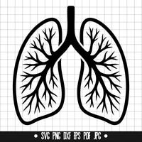 Floral Lungs SVG & PNG Bundle: Medical Clipart for Cricut - Etsy