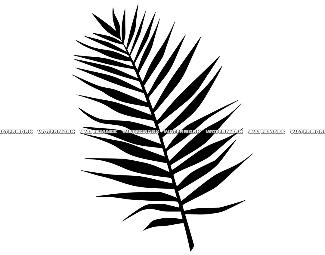 Palm Leaf SVG Palm Leaf Cut File Palm Leaf DXF Palm Leaf - Etsy