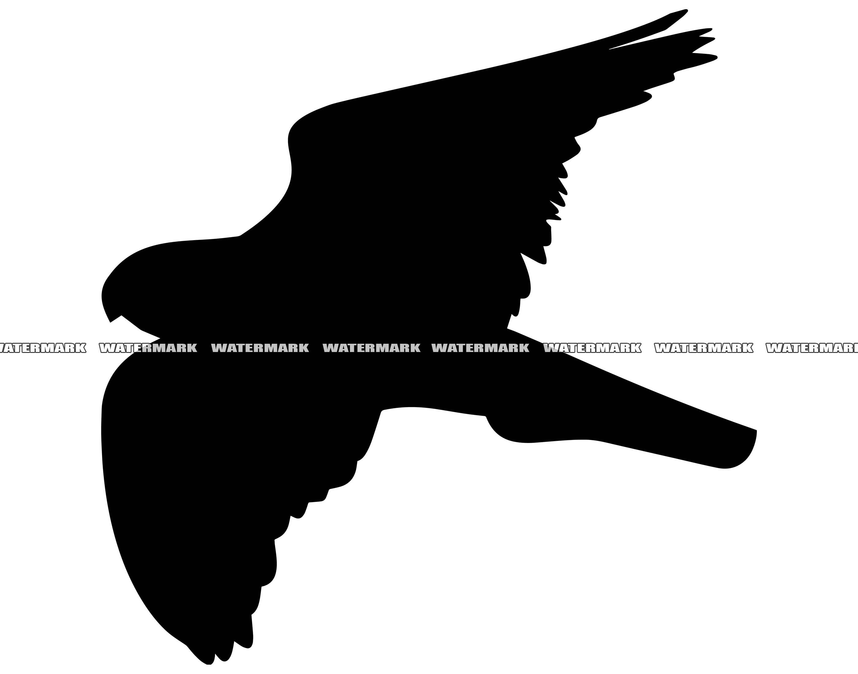 Hawk SVG Hawk Cut File Hawk DXF Hawk PNG Hawk Clipart - Etsy Ireland