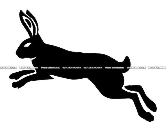 Jack Rabbit Silhouette