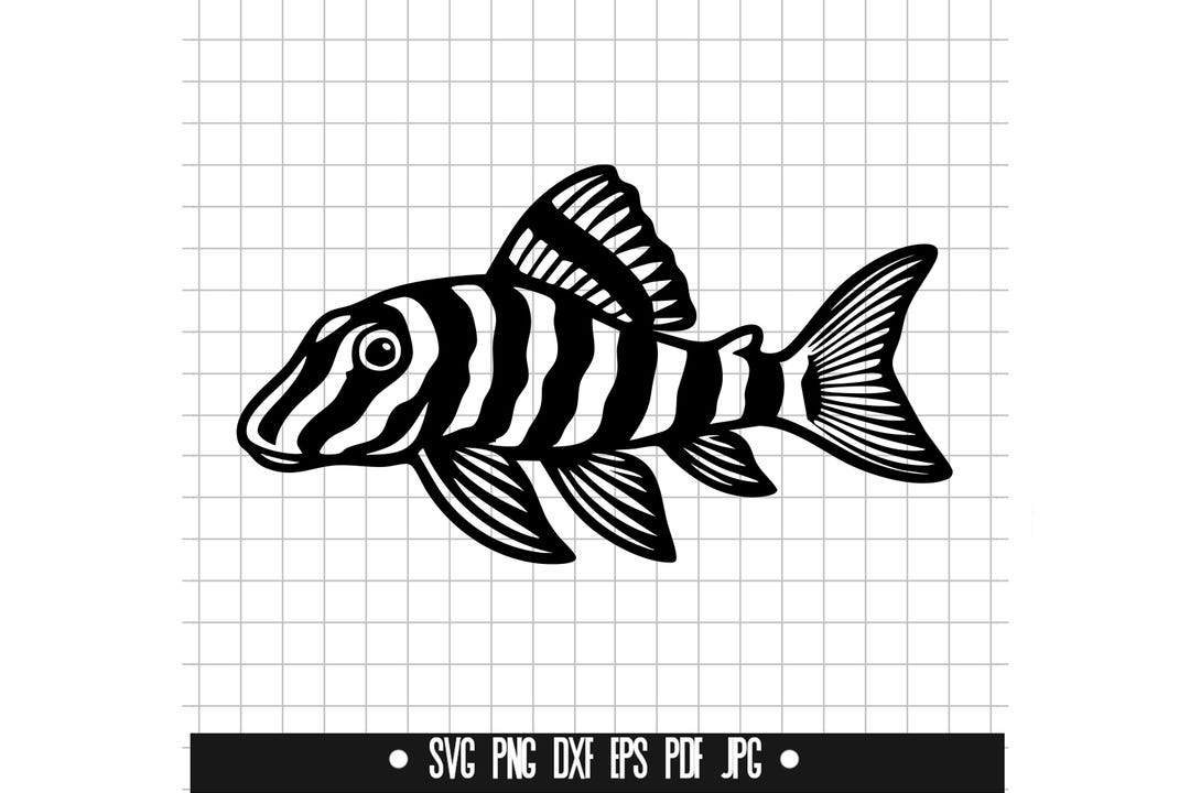 Zebra Pleco SVG, Zebra Pleco PNG, Zebra Pleco DXF, Cut File, Clipart ...