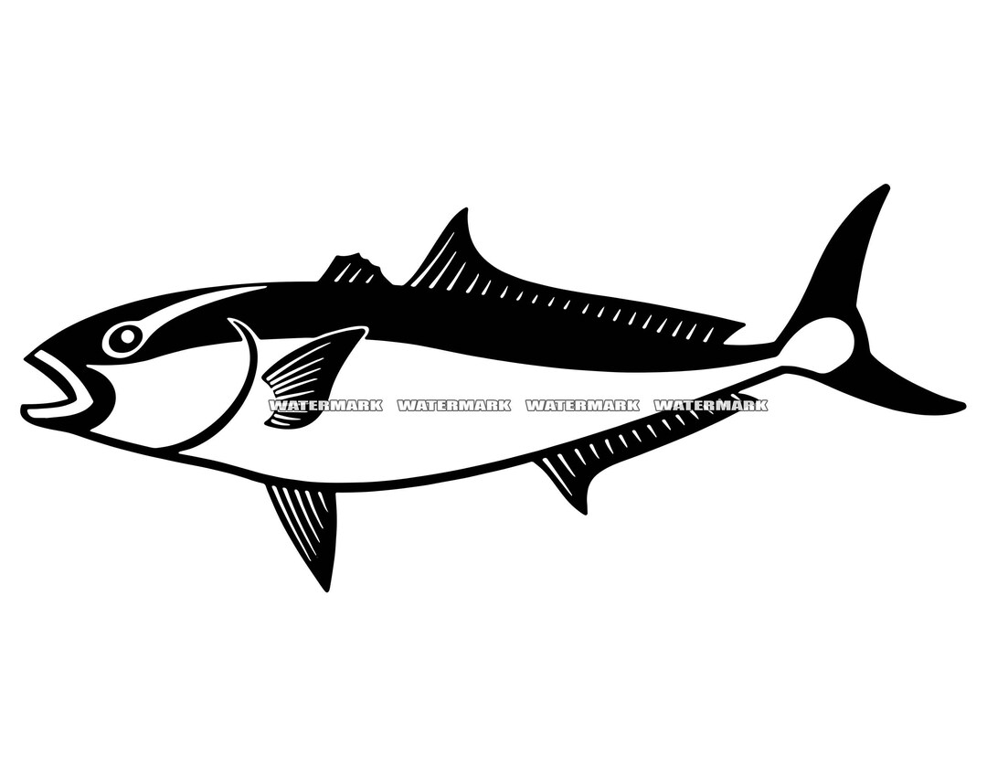 Fish Svg, Amberjack SVG, Amberjack DXF, Amberjack PNG, Amberjack ...