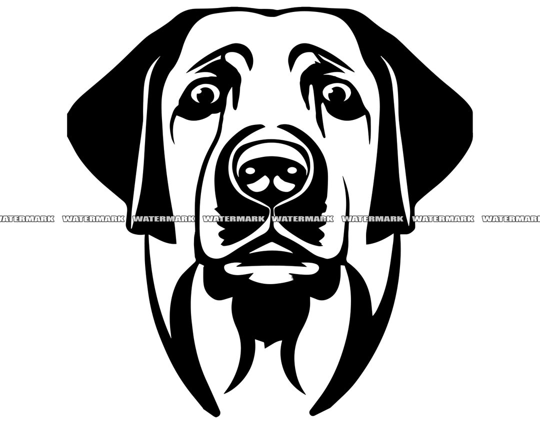 Labrador SVG 3 Labrador Cut File Labrador DXF Labrador - Etsy