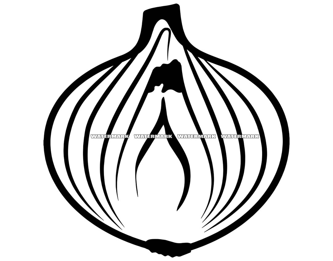 Onion SVG 3 Onion DXF, Onion PNG, Onion Clipart, Onion Silhouette ...