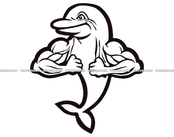 Dolphin Muscles