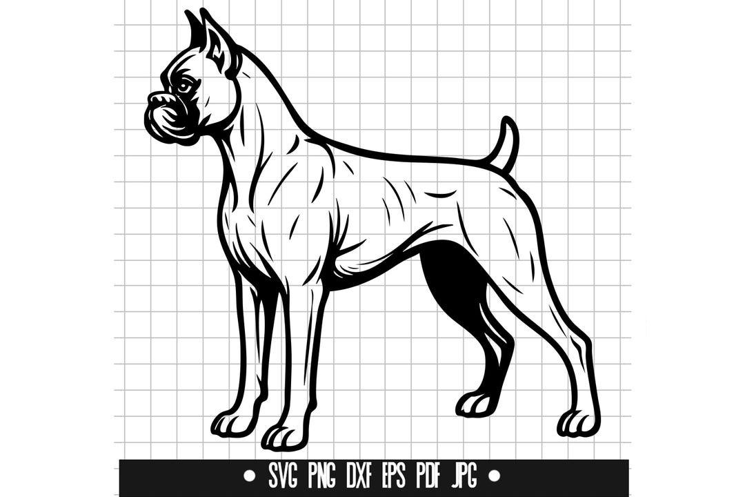 Boxer SVG, Boxer PNG, Boxer DXF, Boxer Silhouette, Boxer Cut File ...