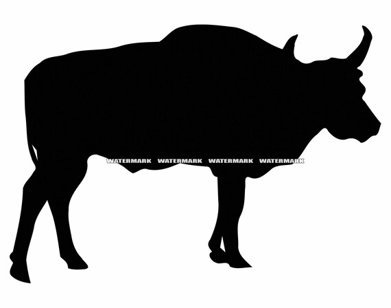 Ox Clipart Black And White