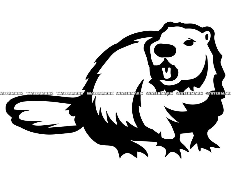 Beaver SVG 1 Beaver Cut File Beaver DXF Beaver PNG - Etsy
