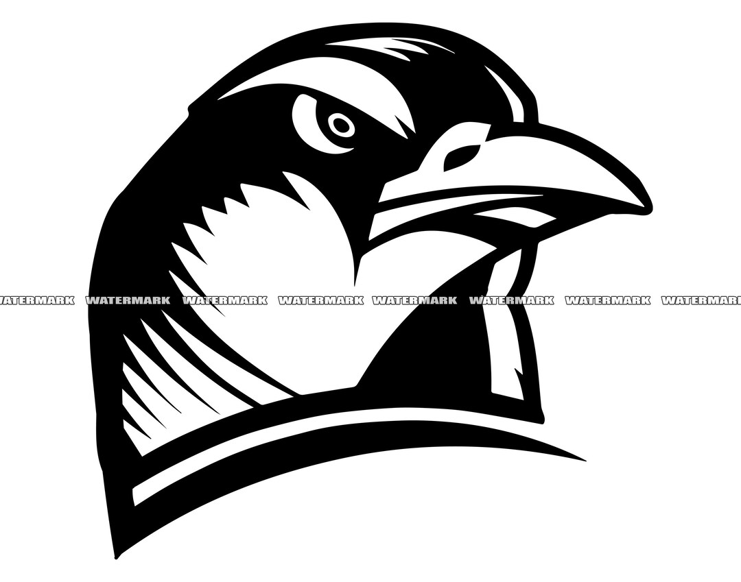 American Robin SVG 1 American Robin Cut File American - Etsy