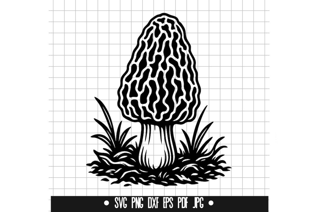 Morel Mushroom SVG, Forager DXF, Forest Mushroom PNG, Cut File, Clipart ...