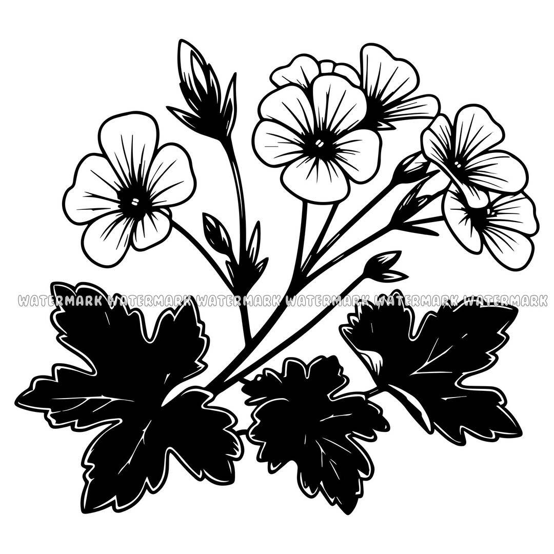 Geranium SVG, Geranium DXF, Geranium PNG, Geranium Cut File, Geranium ...