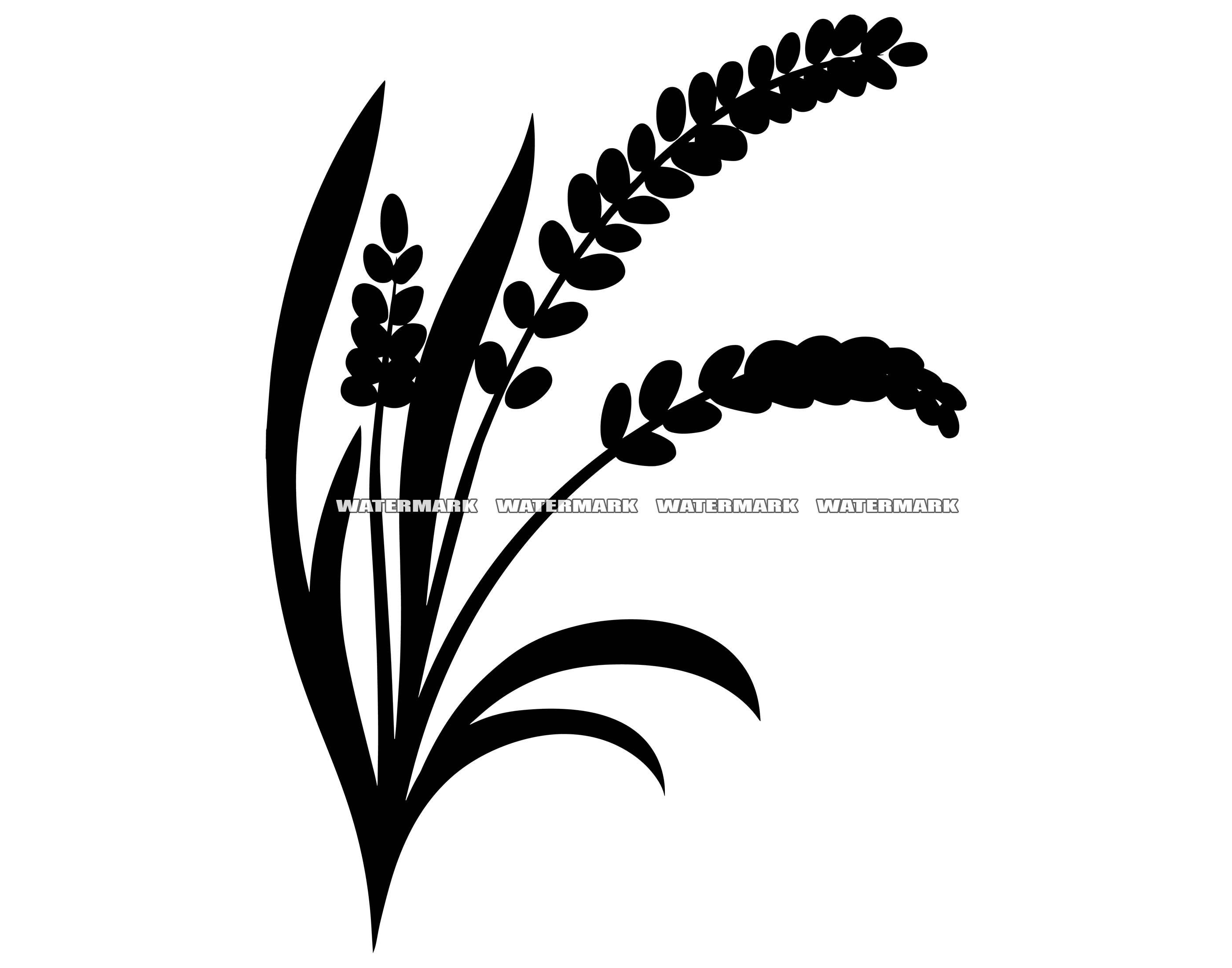 Grain Silhouette Png