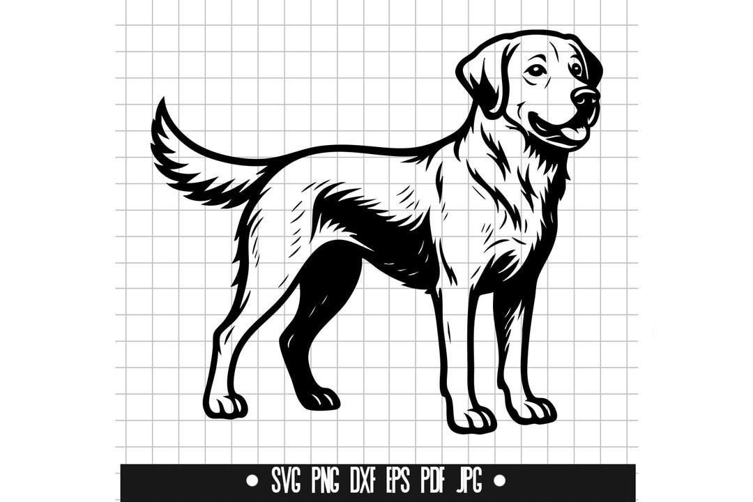 Goldador SVG, Goldador PNG, Goldador DXF, Goldador Silhouette, Goldador ...