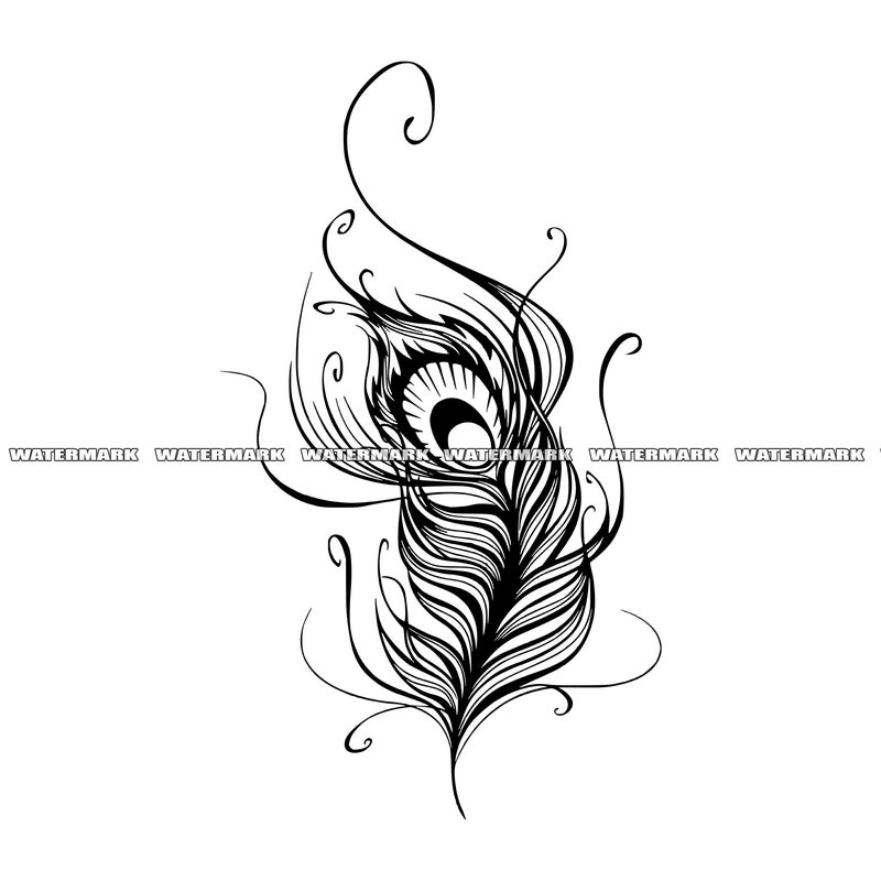 Peacock Feather Svg - Etsy