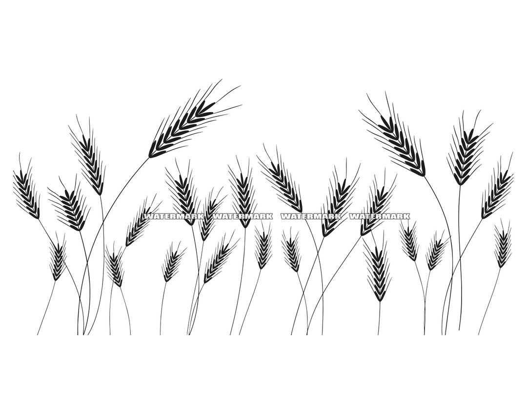 Wheat SVG 2 Wheat Cut File Wheat DXF Wheat PNG Wheat - Etsy Finland